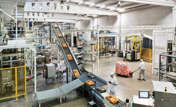 Our high quality cat and dog food product range - United Petfood